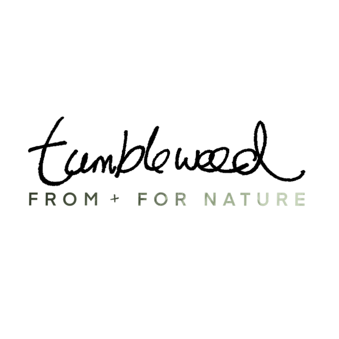 Ruru's Nest Kiosk | Discover Unique Kiwi Gifts — The Sculpture Park at ...