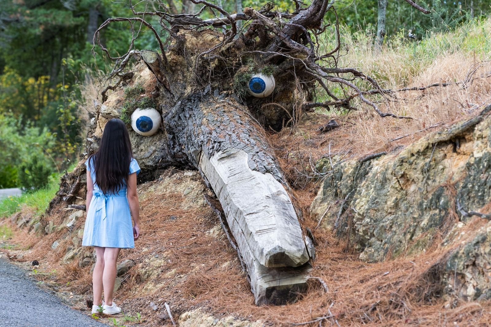 The Sculpture Park at Waitakaruru Arboretum | Art-in-Nature Arboretum Trust