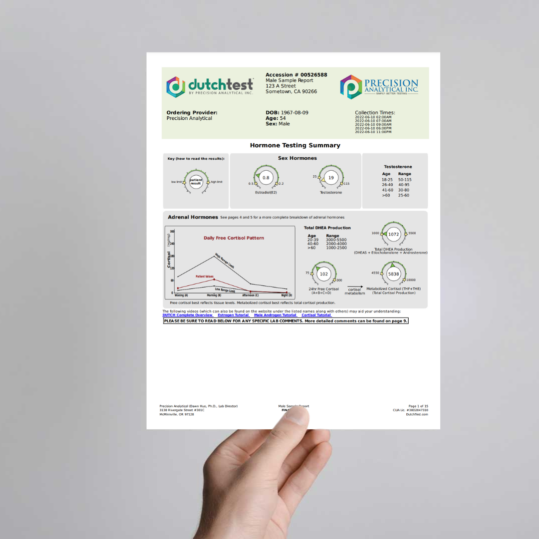 Dutch Complete — Sistema Diagnostics