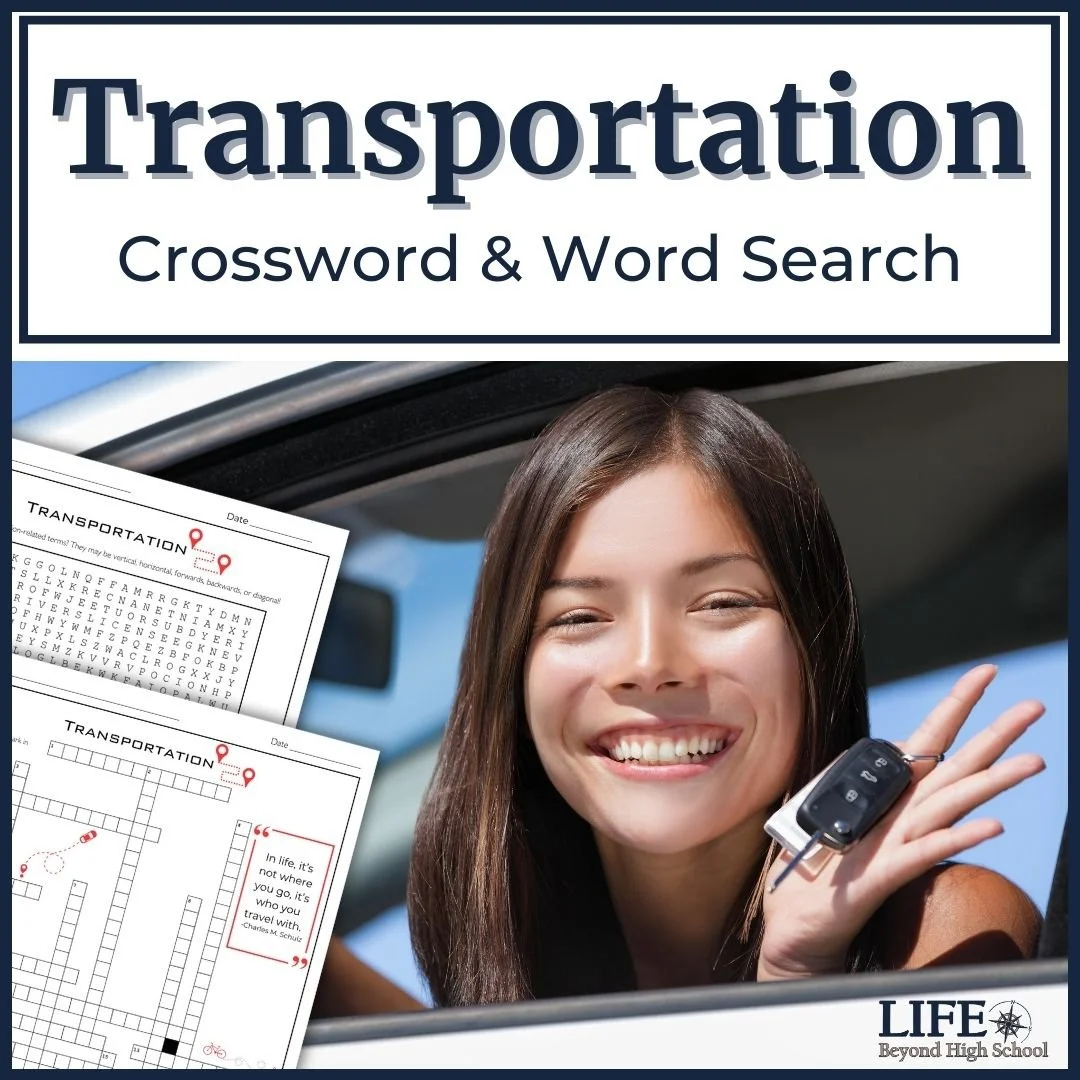 Independent Living Puzzles — Life Beyond High School