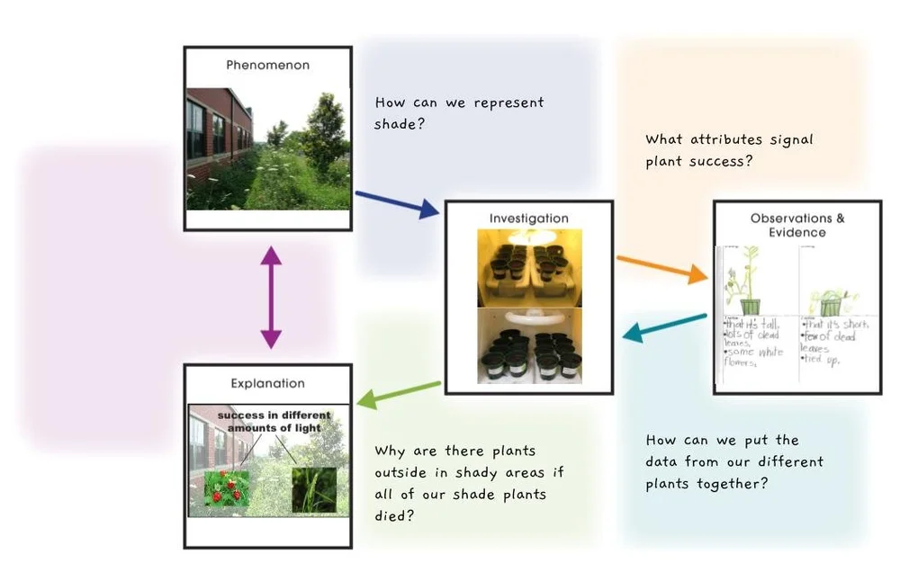 Rethinking the Classroom Science Investigation — INVESTIGATIONS PROJECT