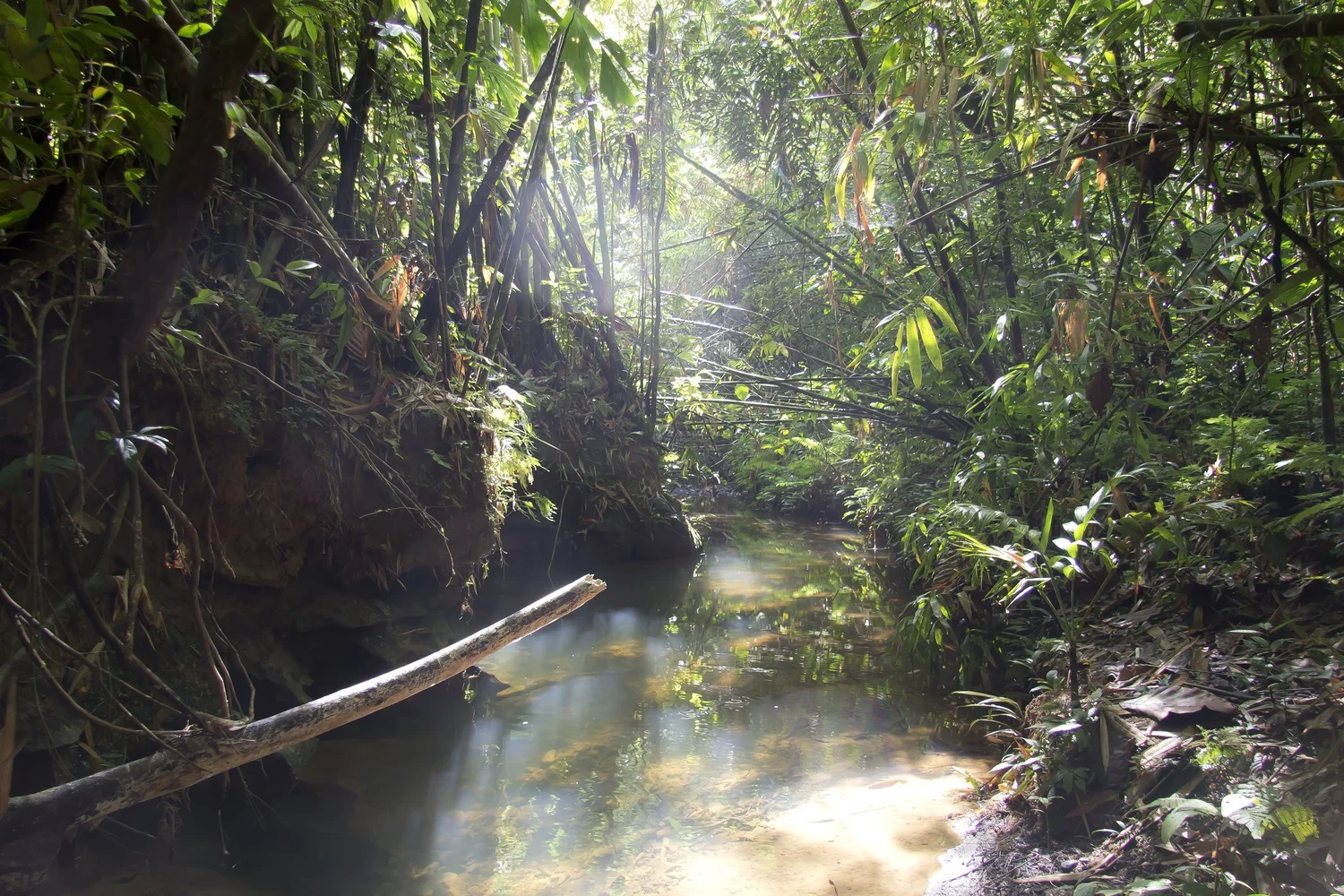 Secret Hot Springs in Malaysia — Hot Spring Journeys