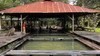 Secret Hot Springs in Malaysia — Hot Spring Journeys