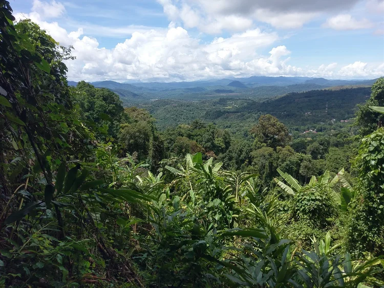 Secret Hot Springs in Malaysia — Hot Spring Journeys