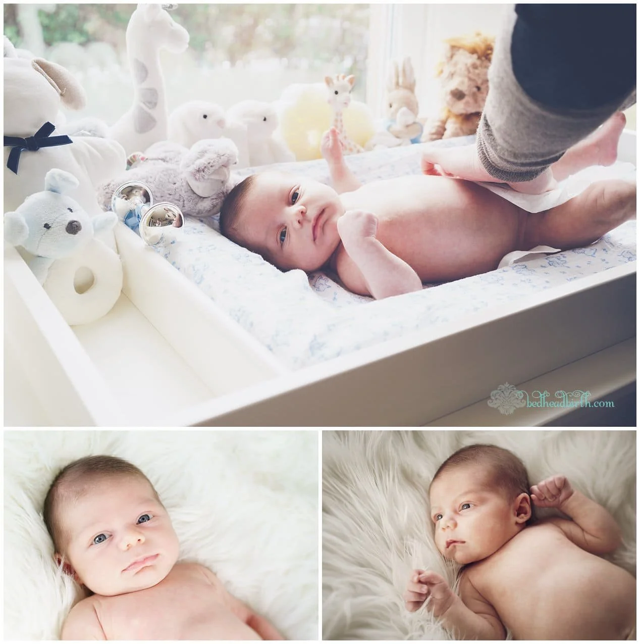 Newborn Photography and Musings on Work and Life — Nikki Williams, CPM ...
