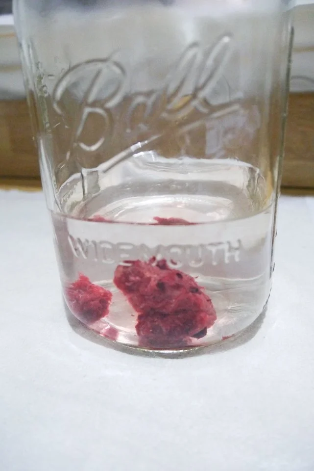 Deeper Into the Weird: Placenta Tinctures! — Nikki Williams, CPM ...