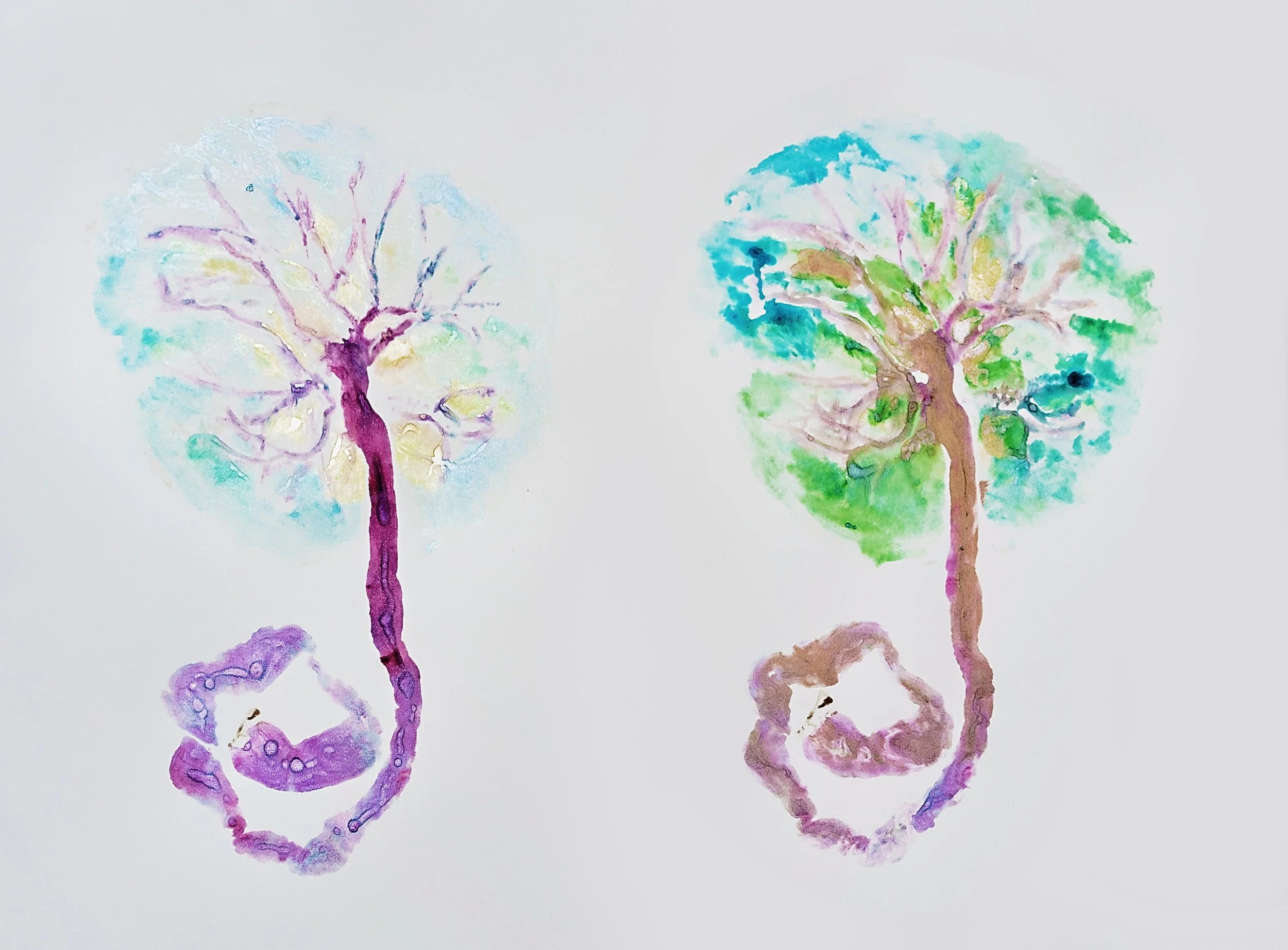 Placenta Encapsulation | Central Maryland — Nikki Williams, CPM ...