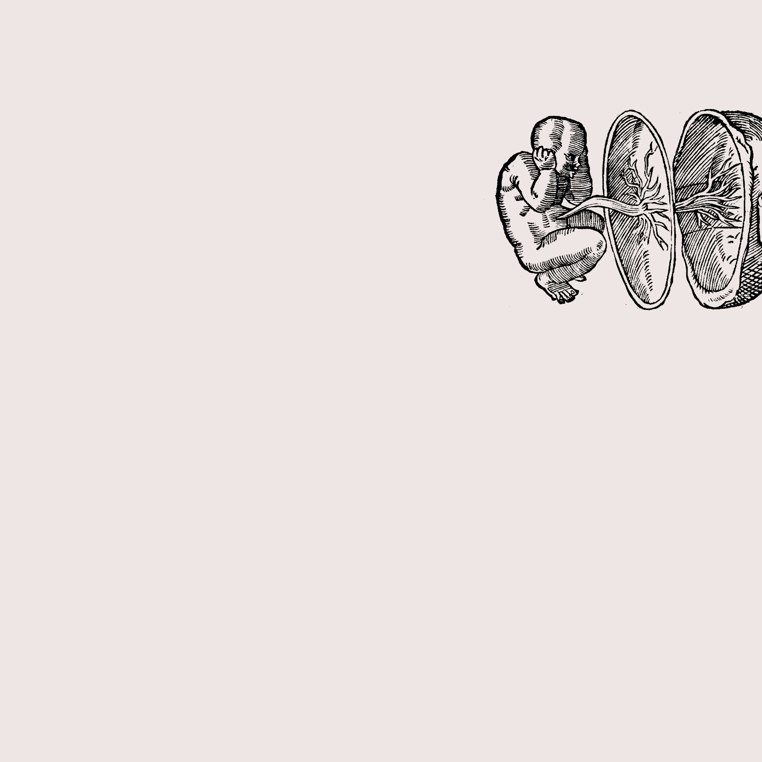 Placenta Encapsulation | Central Maryland — Nikki Williams, CPM ...