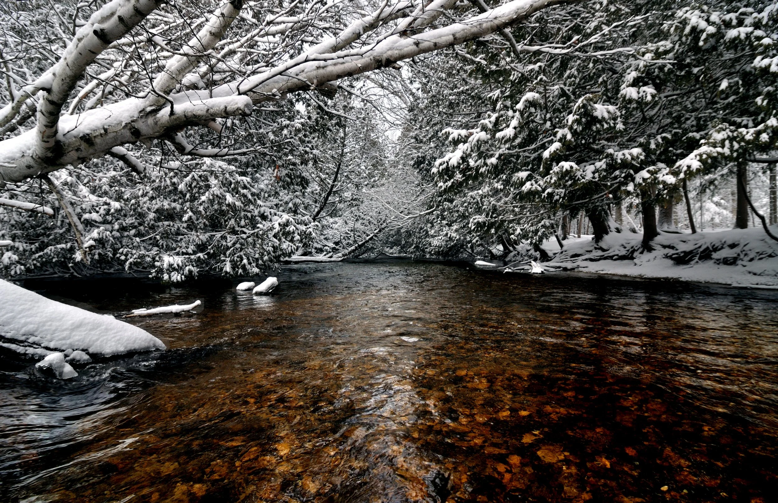 Expert Plastic Injection Molding — Gaylord Solutions