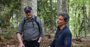 About Us — Chloris Geospatial
