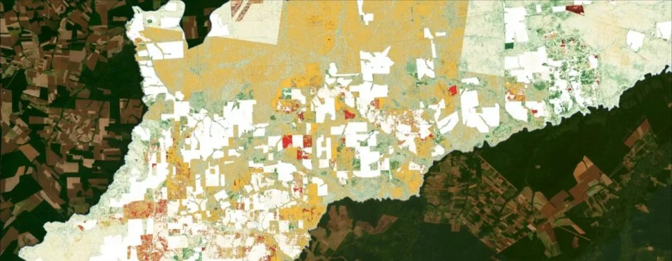 Data — Chloris Geospatial