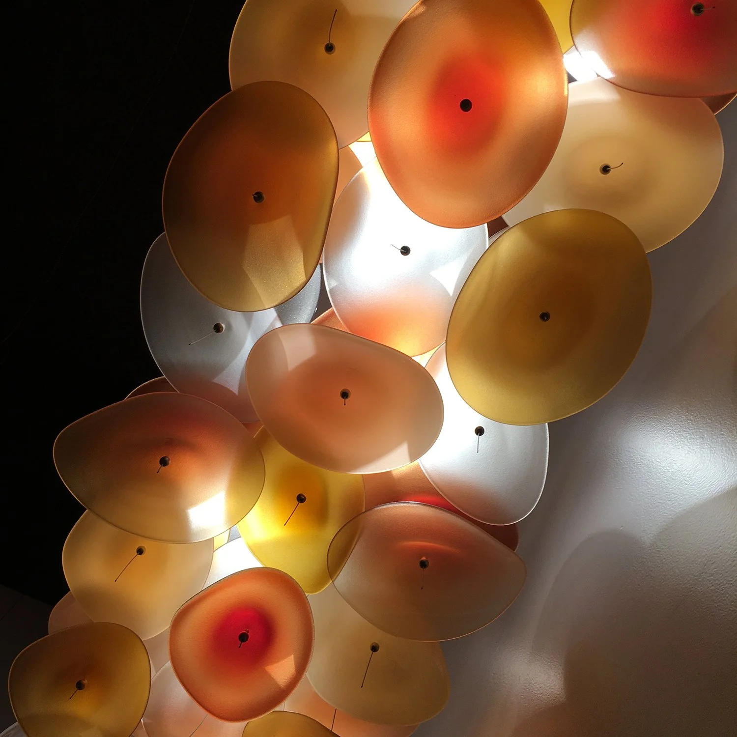 Cascade — The Goodman Studio