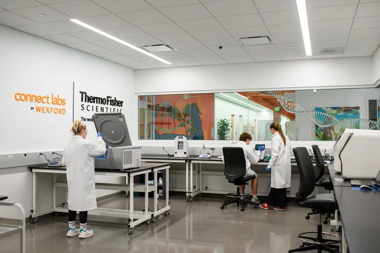 Phoenix — Connect Labs by Wexford