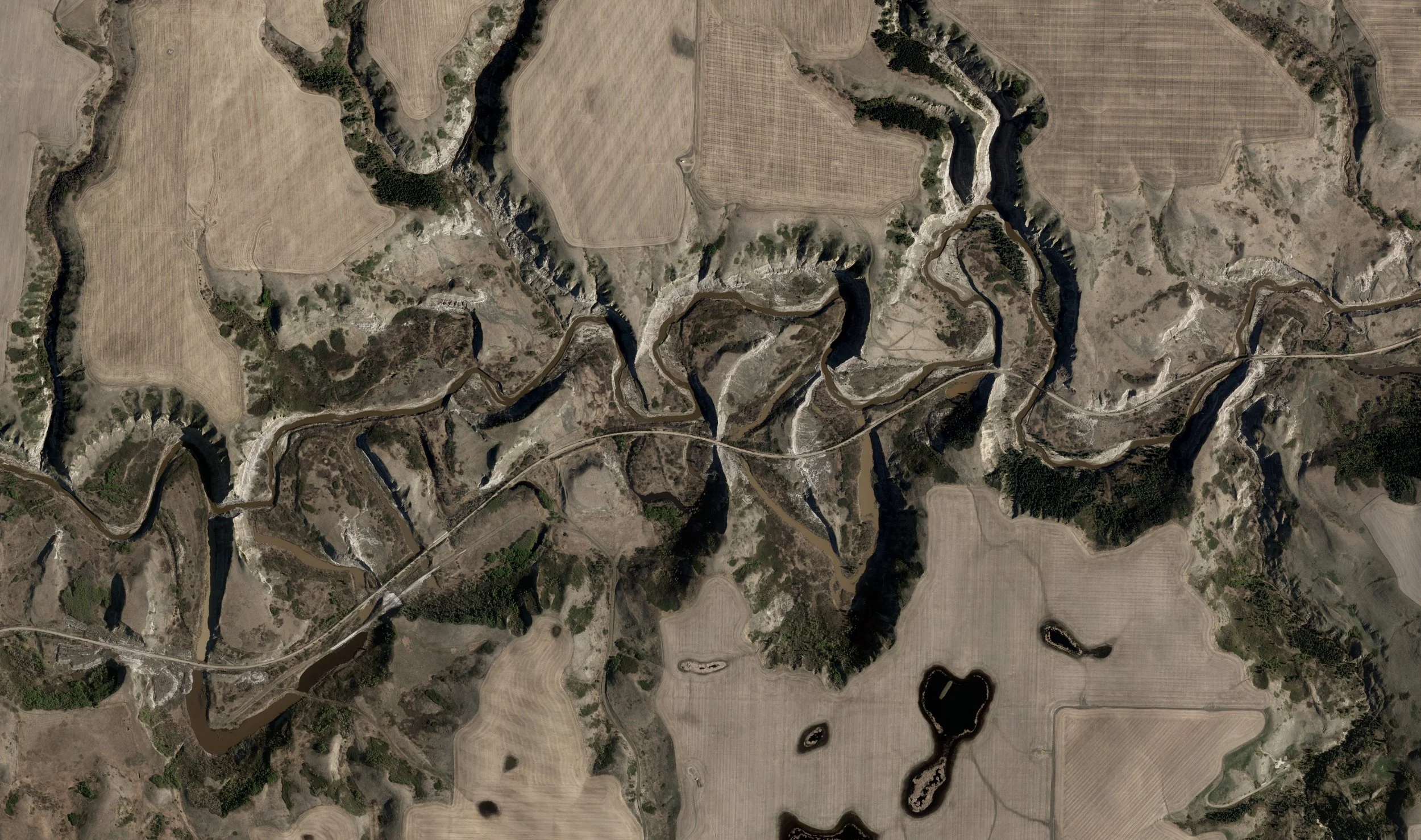 Tarin Resource Services