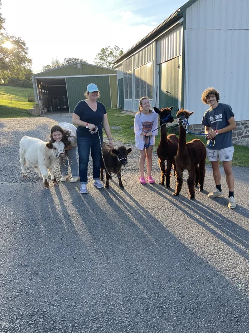 Animal Cuddles — SWARTZ FARM