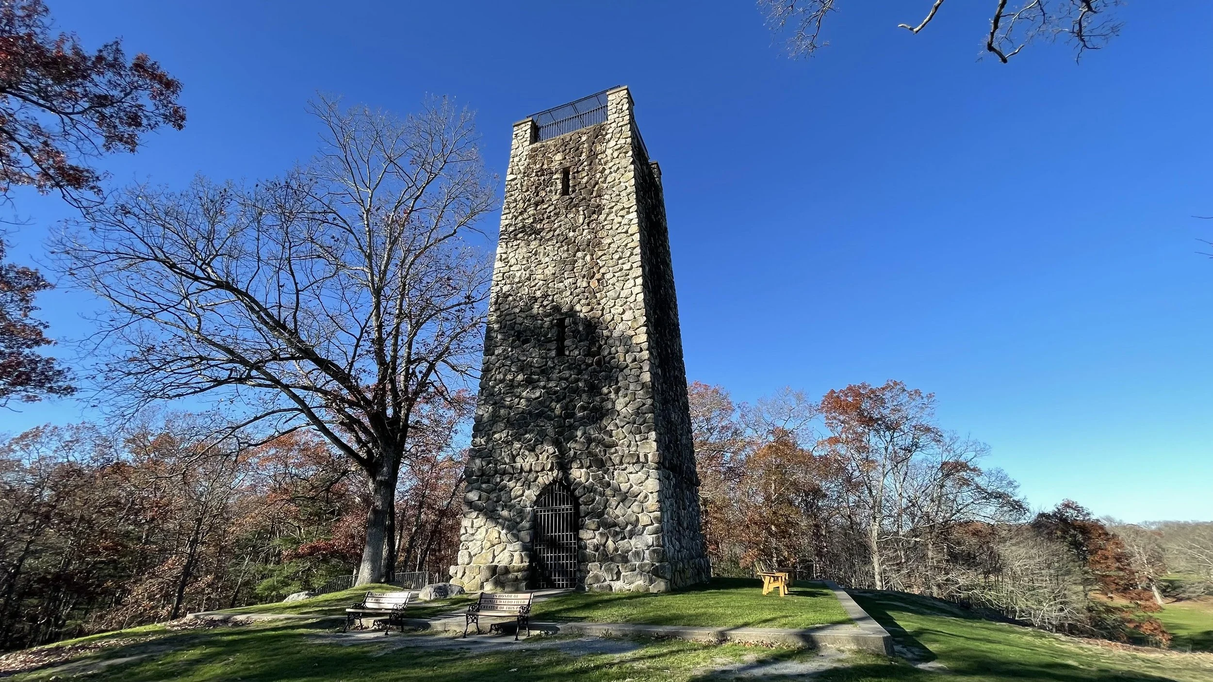 About — D.W. Field Park Initiative