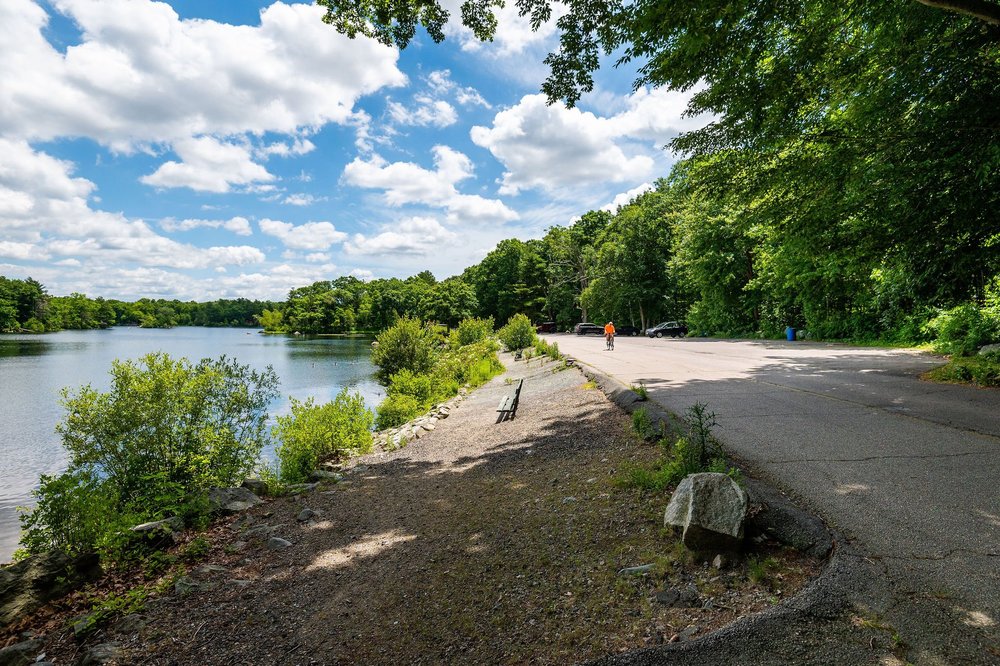 About — D.W. Field Park Initiative