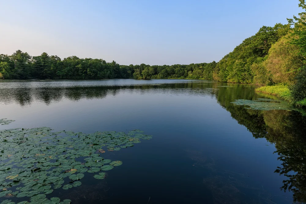 About — D.W. Field Park Initiative