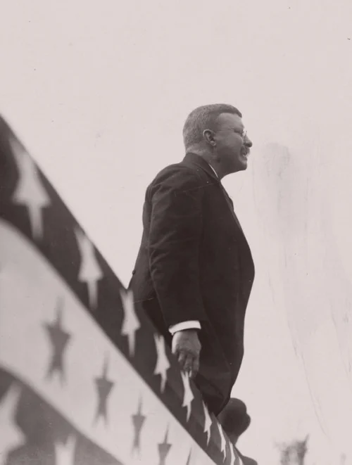 The Project — Theodore Roosevelt Presidential Library