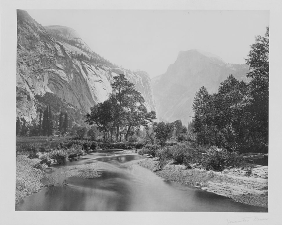 Conservation — Theodore Roosevelt Presidential Library