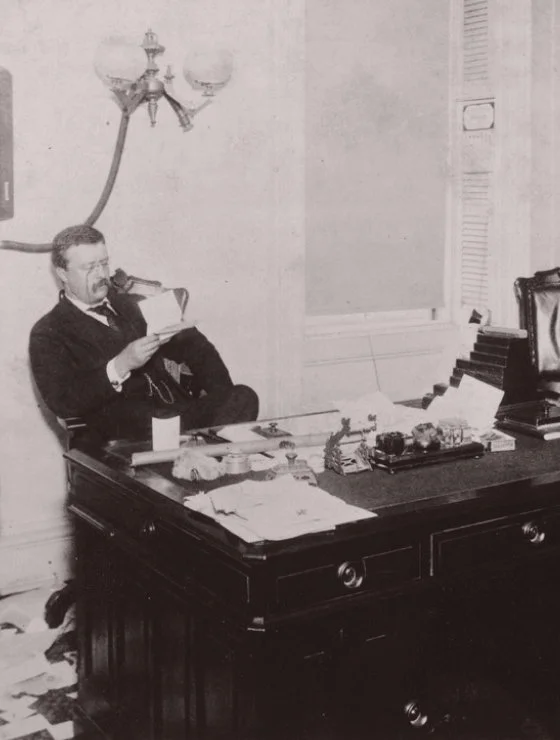 The Project — Theodore Roosevelt Presidential Library