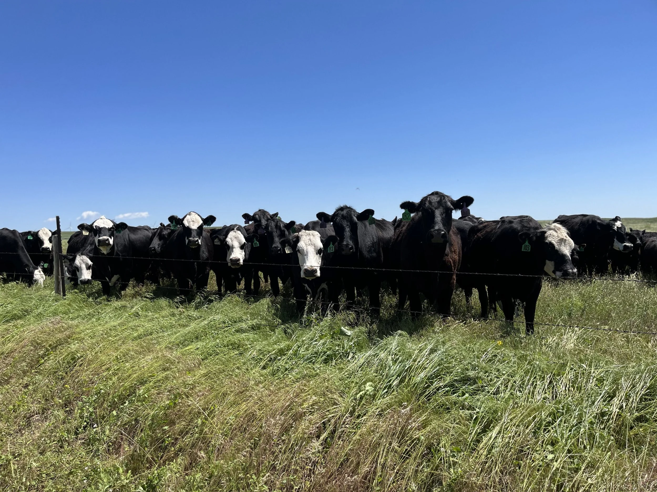 Sowing the Seeds of Success — Soil & Climate Initiative