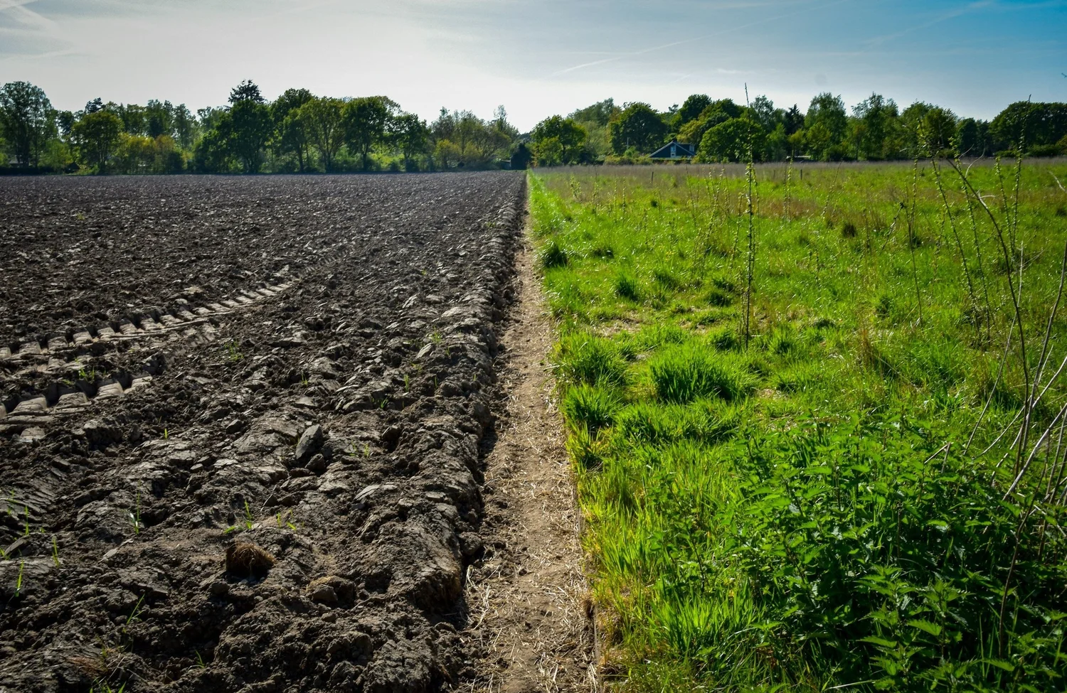 Why Regenerative — Soil & Climate Initiative