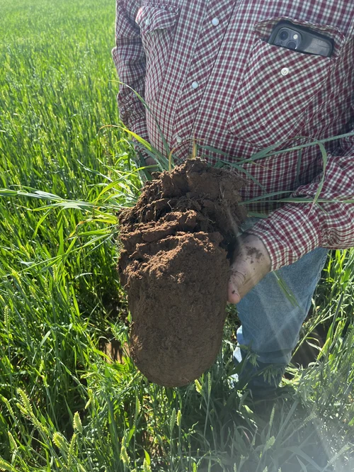 Verification Standard & Guidance — Soil & Climate Initiative