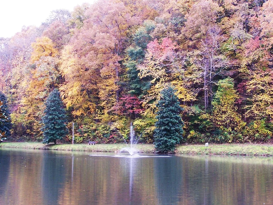 Coosawattee River Resort | River Cabins, Tubing & Dog-Friendly Getaways