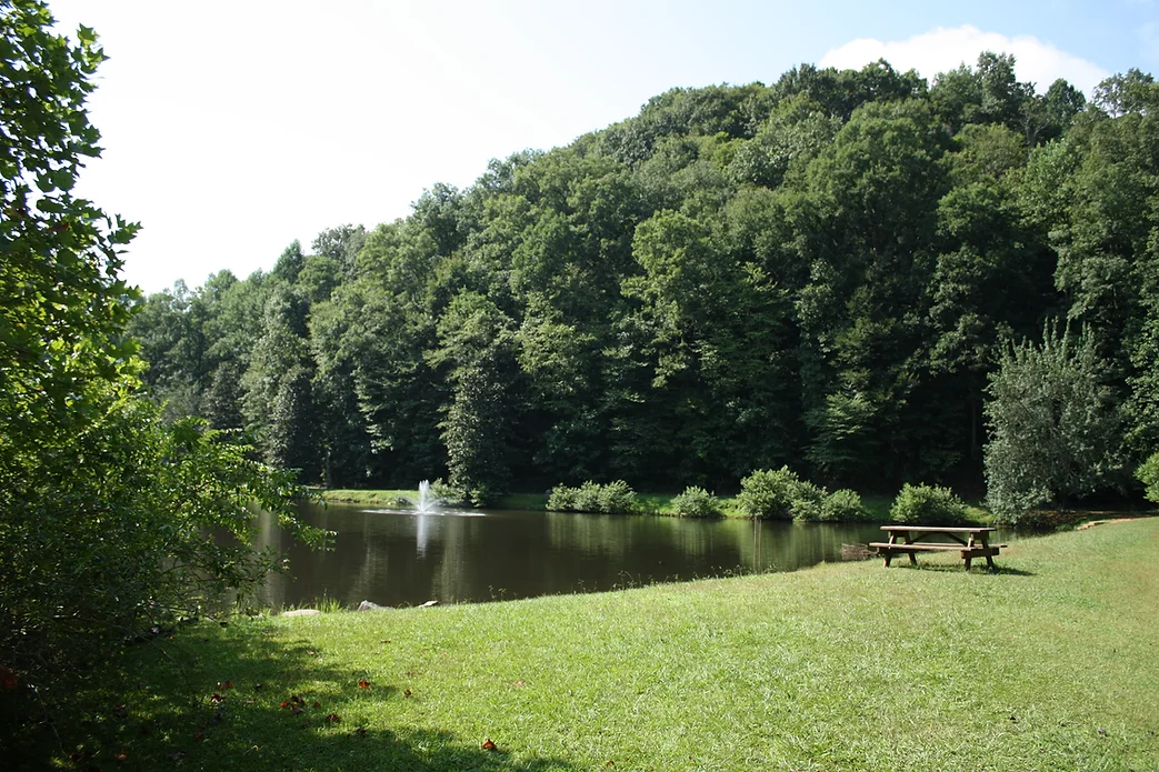 Coosawattee River Resort | River Cabins, Tubing & Dog-Friendly Getaways