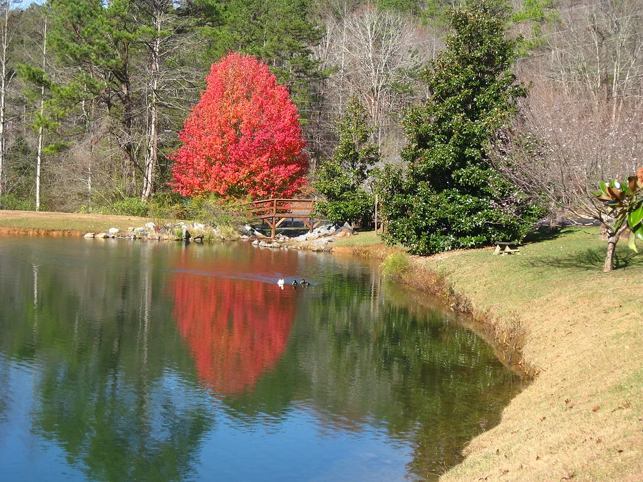 Coosawattee River Resort | River Cabins, Tubing & Dog-Friendly Getaways