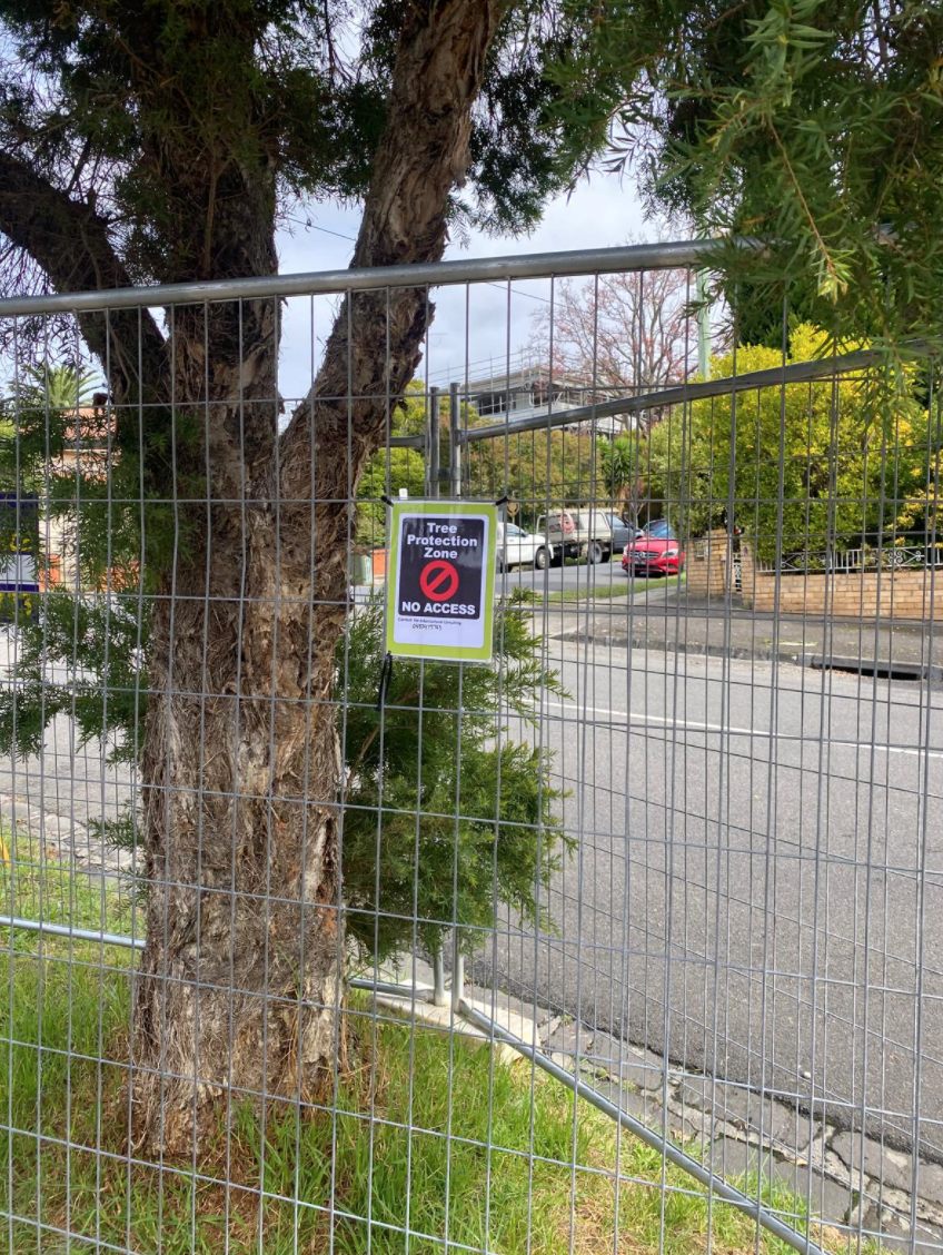 Arboriculture Victoria | Consulting | Tree Reports