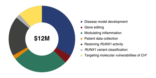 RUNX1 Research Program