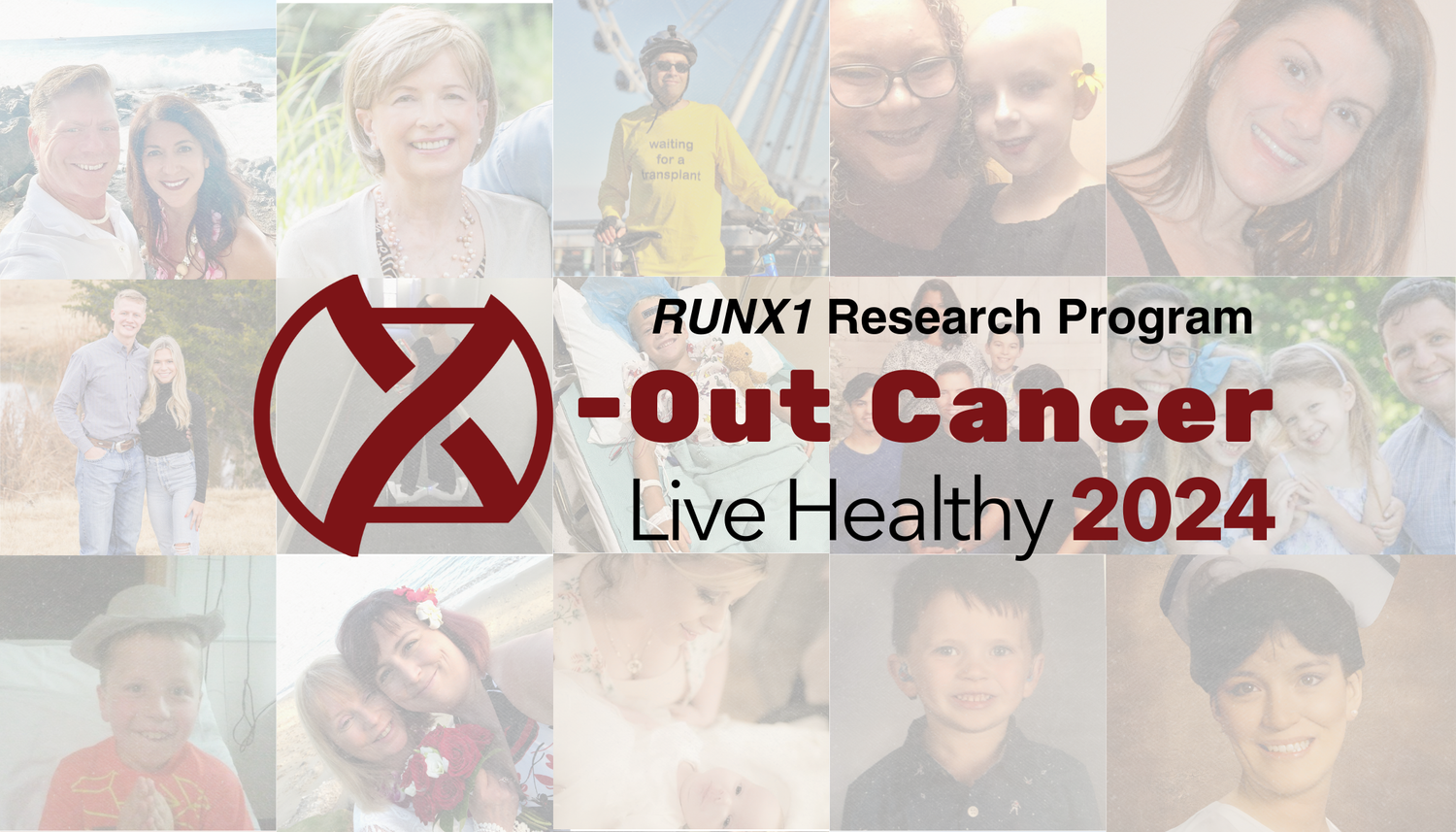 RUNX1 Research Program