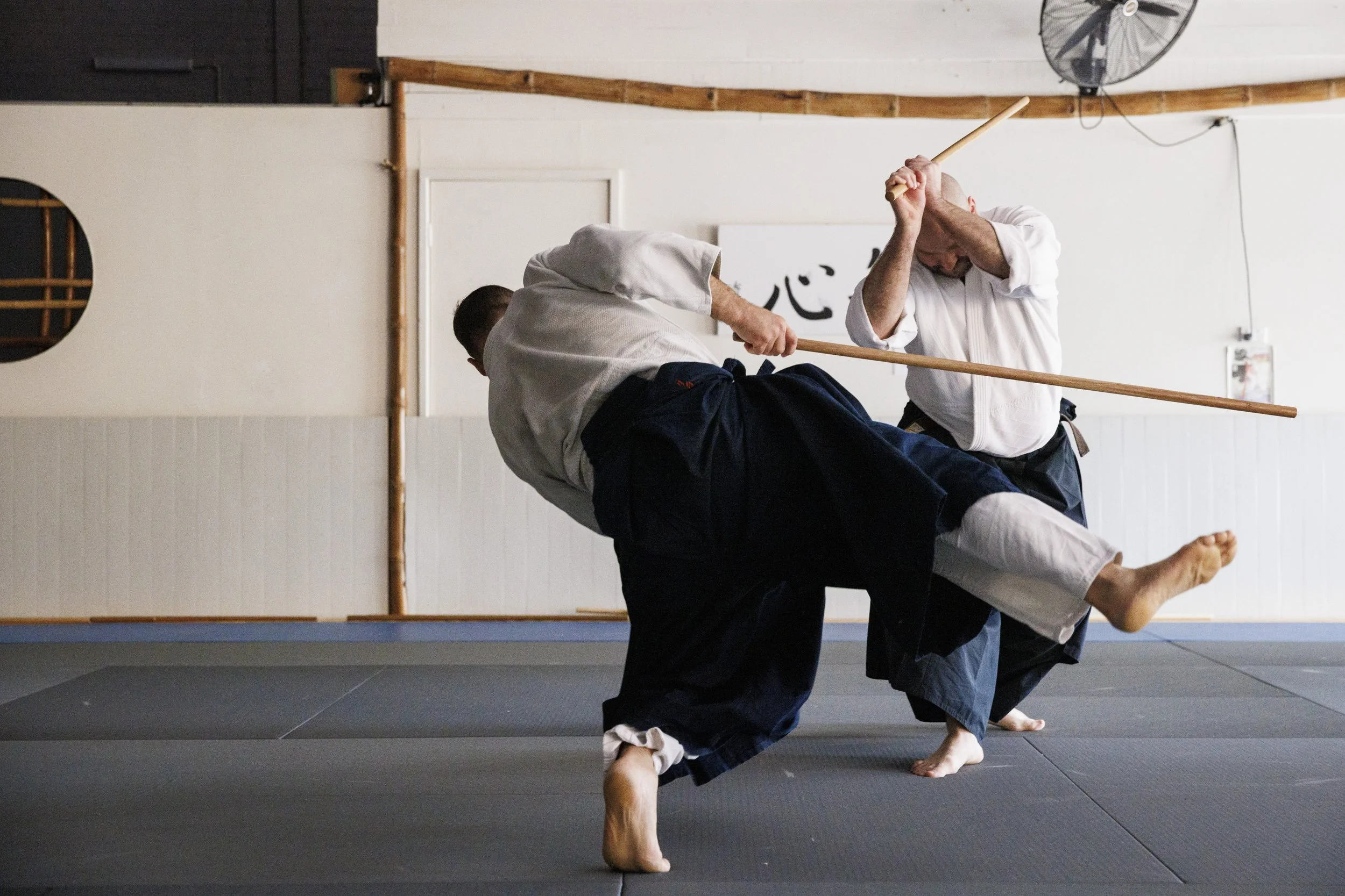 Weapons Training — Newcastle Aikido