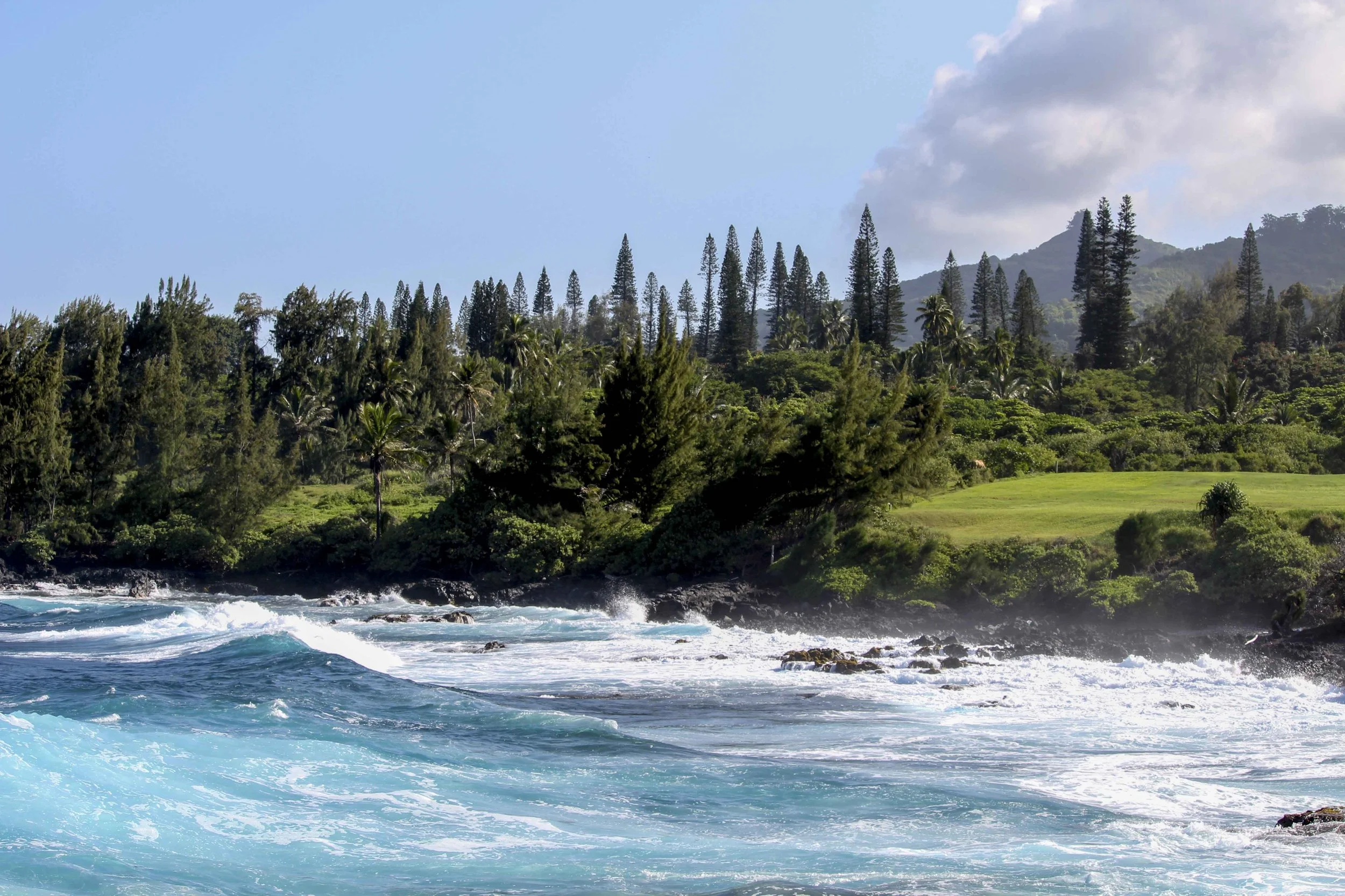 About — Martin Caprile.