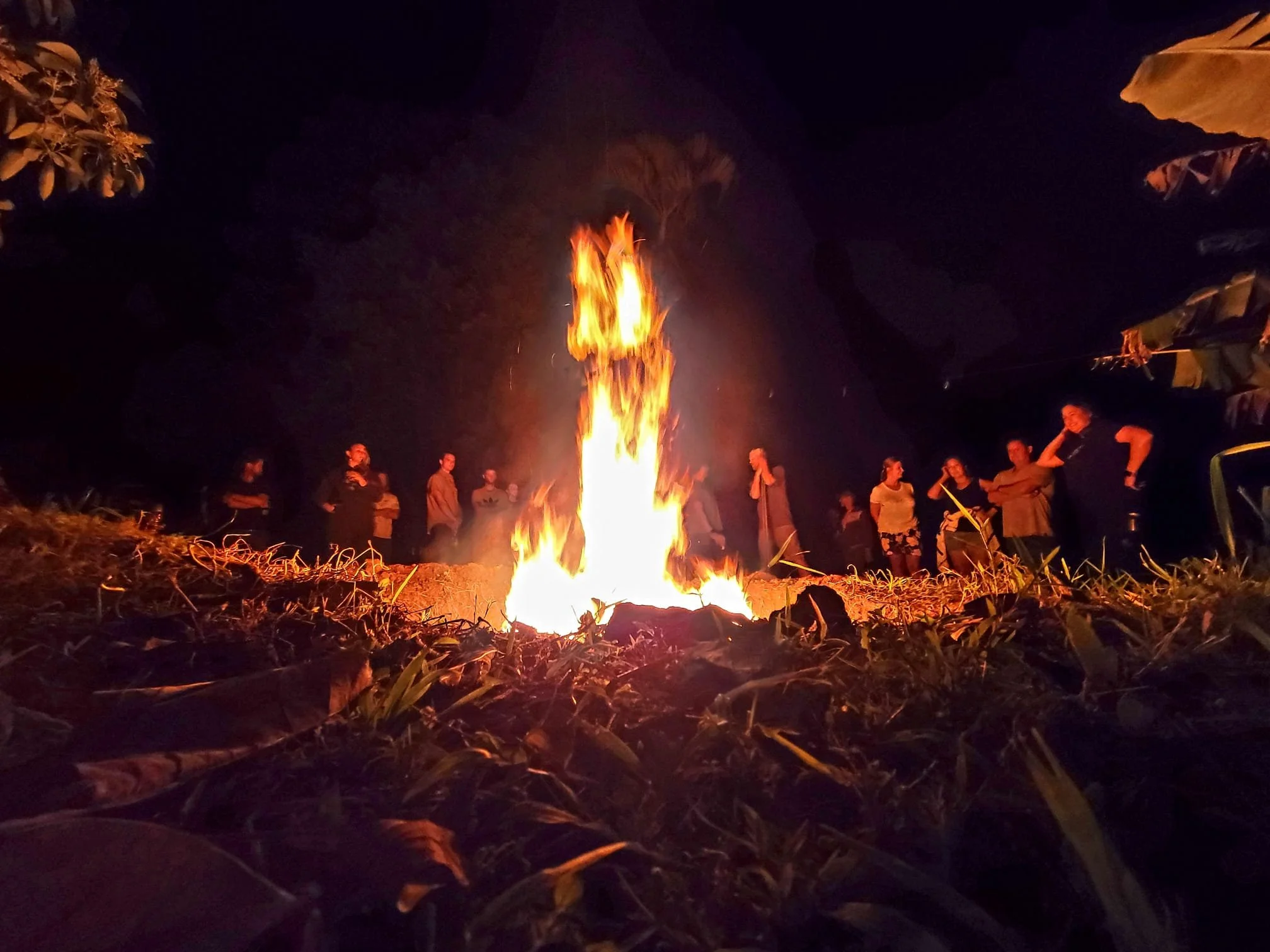 The Imu Ceremony: How Food Traditions Unify Community — Common Ground ...