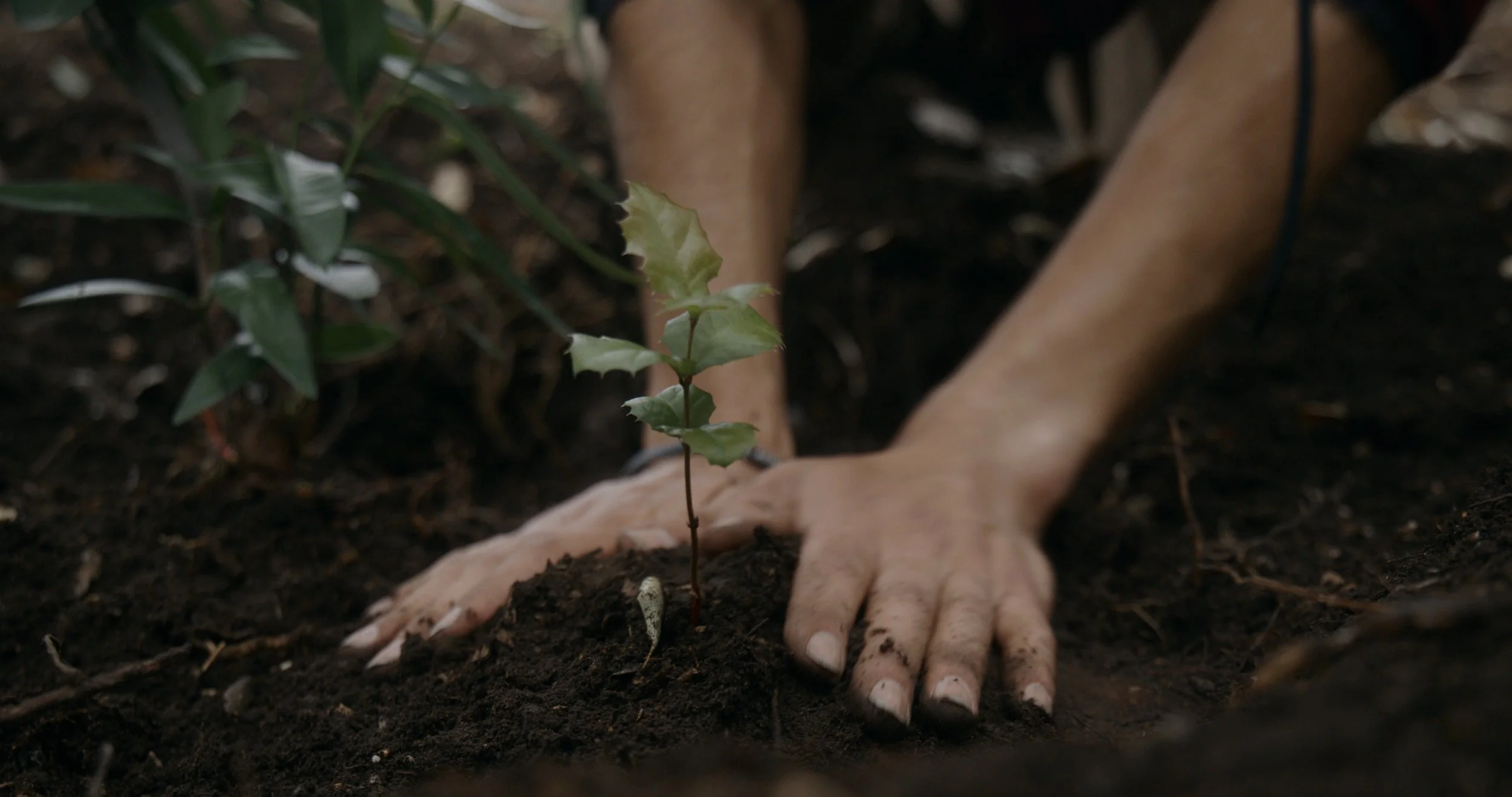Frequently Asked Questions — Tongva.Land