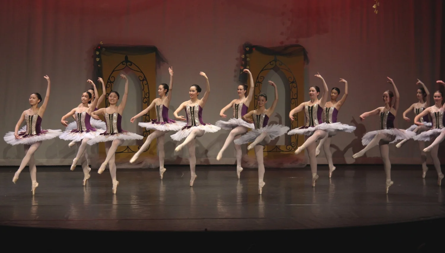 Class Descriptions — San Francisco Youth Ballet Academy