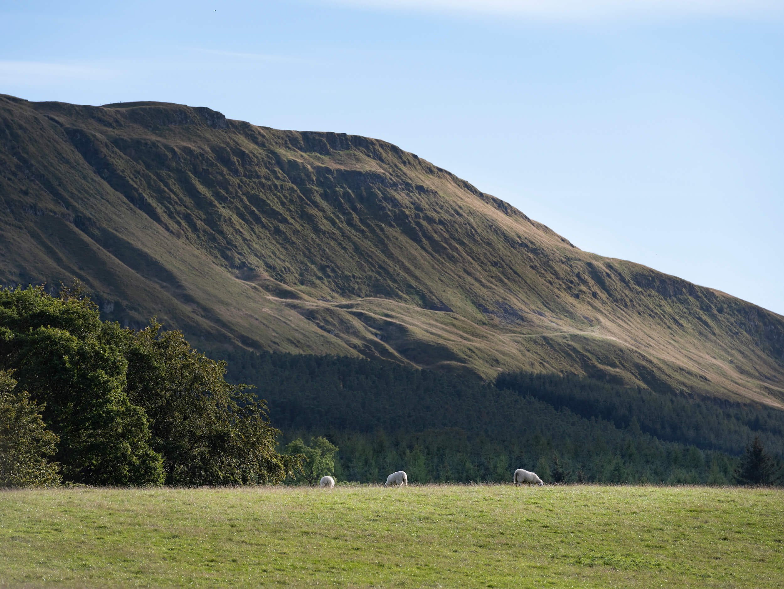 akre — Case Studies