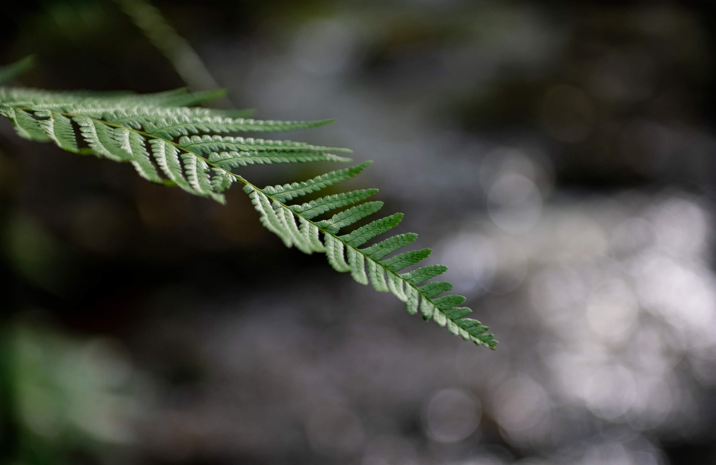 akre — Nature-Based Solutions