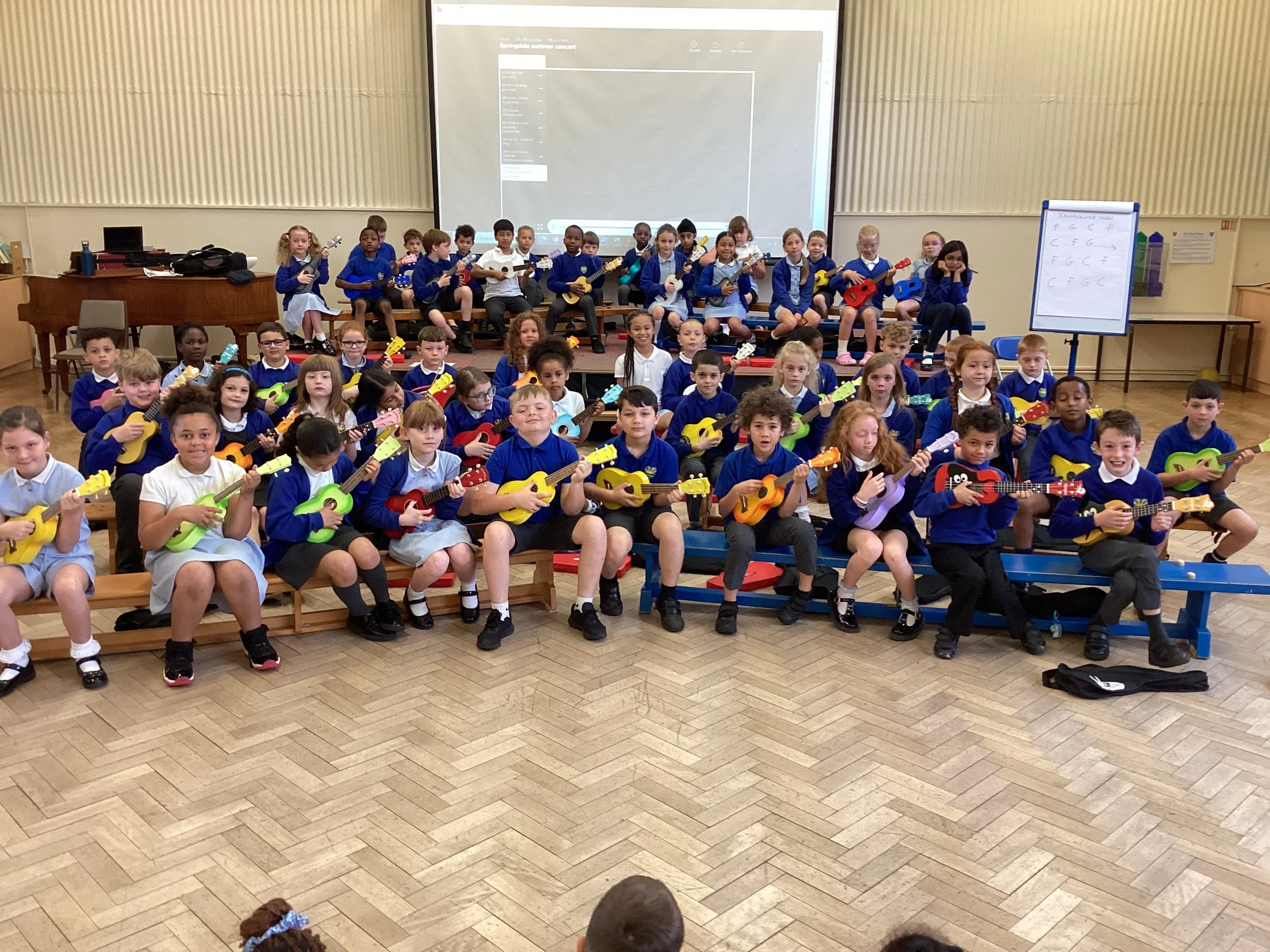 Year 3 and 4 Musical Showcase — Springdale Primary School
