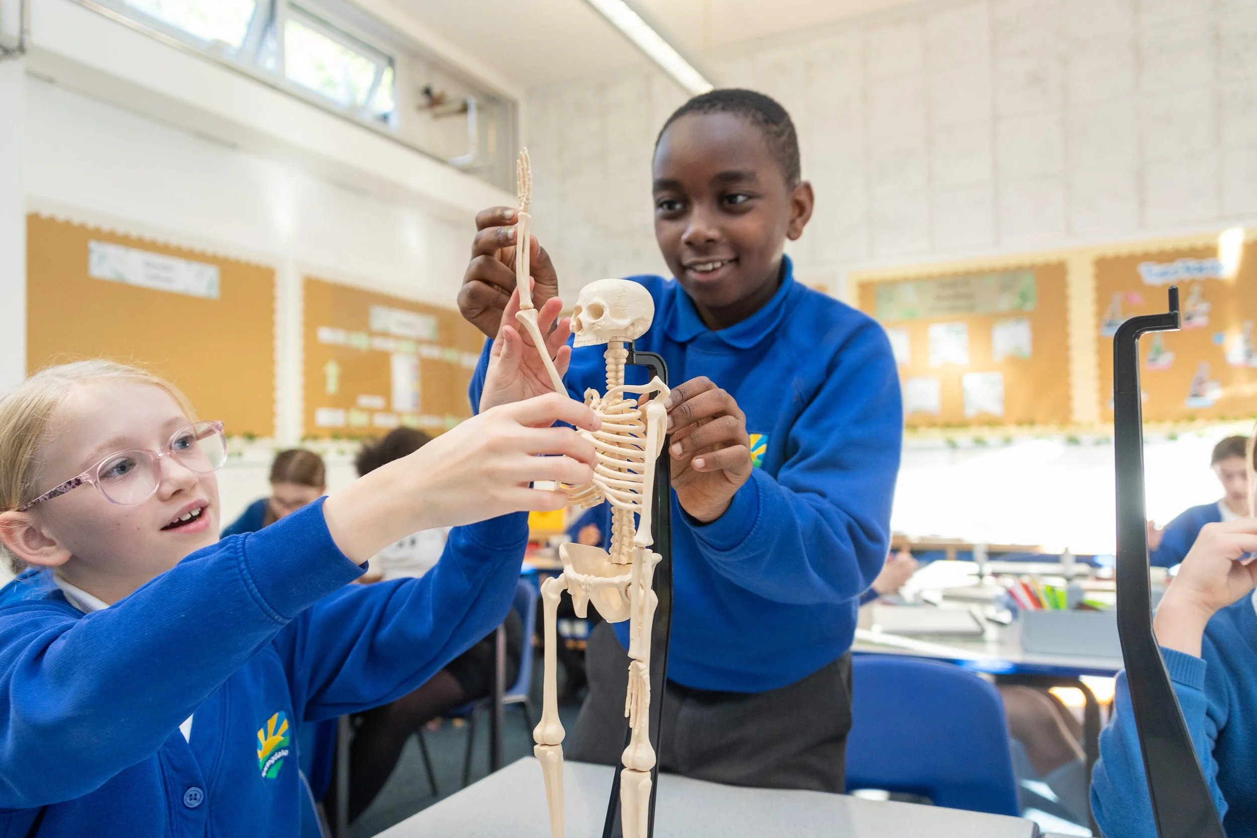 Springdale Primary School