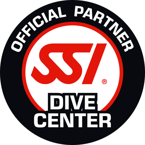Scuba Diving in Cornwall | Karleyth Diving - SSI Dive Centre