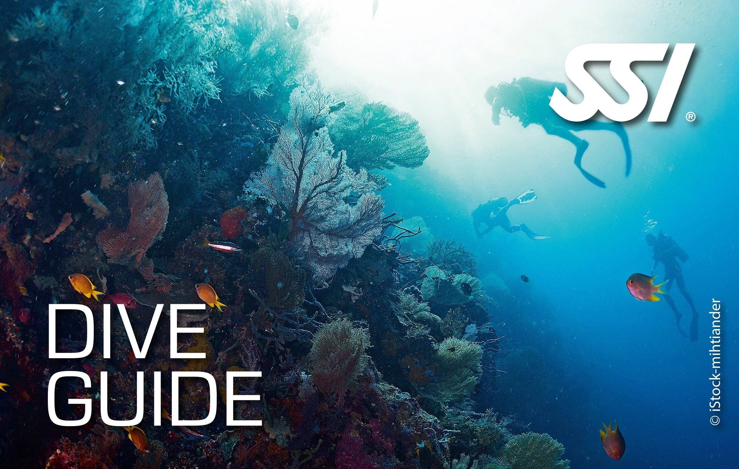 SSI Dive Guide / Dive Master — Karleyth Diving