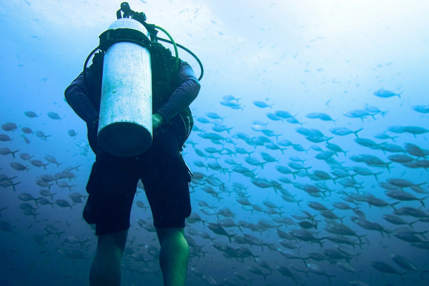 SSI Open Water Course | Beginner Scuba Diving Course | Karleyth Diving ...