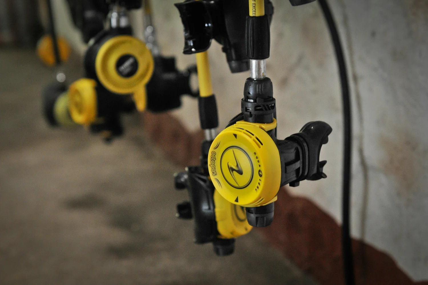 Scuba Diving in Cornwall | Karleyth Diving - SSI Dive Centre
