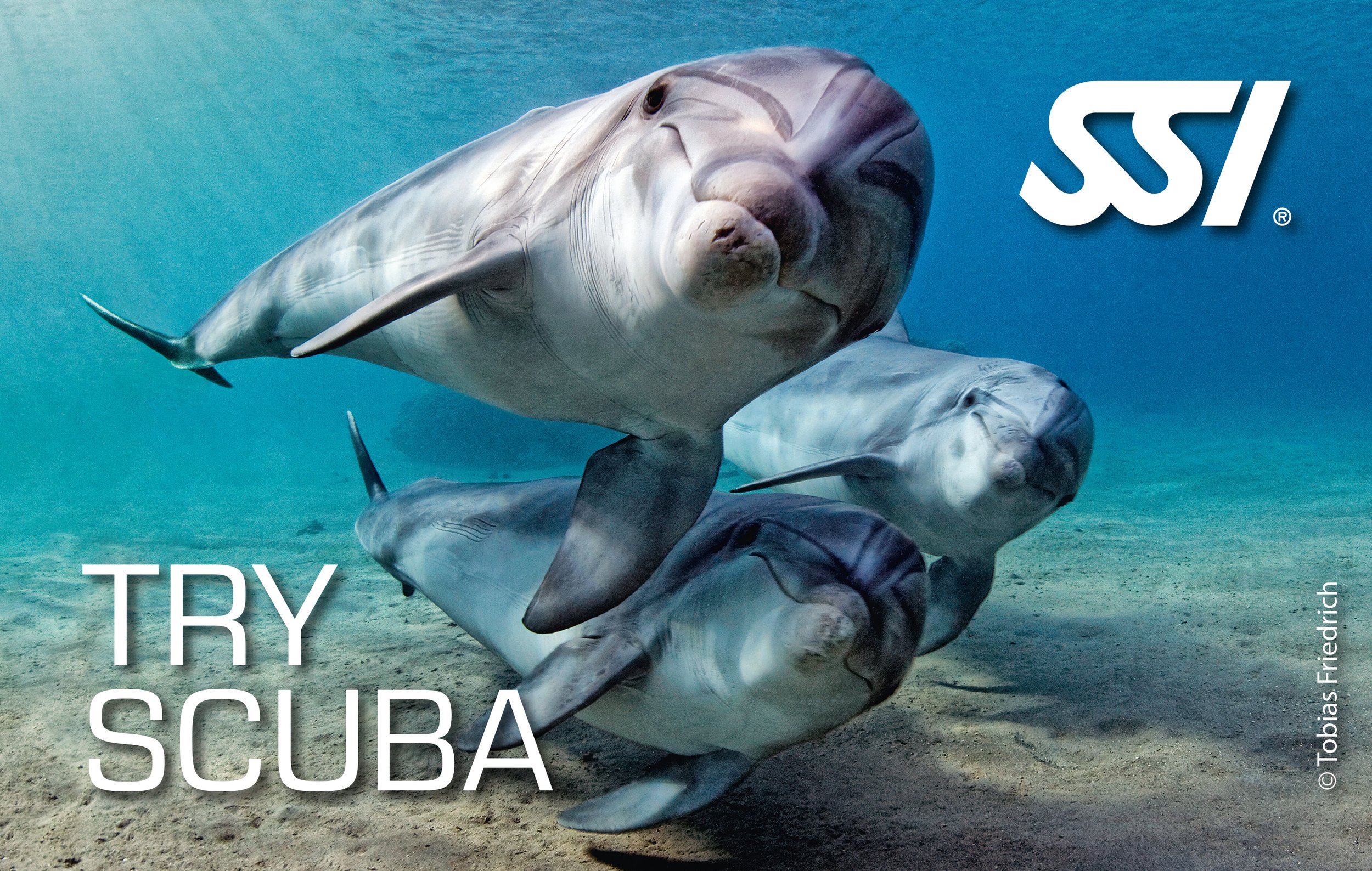 Scuba Diving in Cornwall | Karleyth Diving - SSI Dive Centre