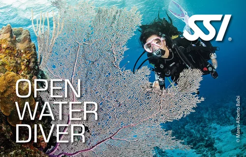 SSI Open Water Course | Beginner Scuba Diving Course | Karleyth Diving ...