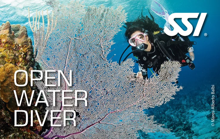 SSI Open Water Course | Beginner Scuba Diving Course | Karleyth Diving ...